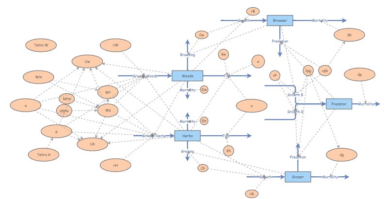 Savannah model | Insight Maker