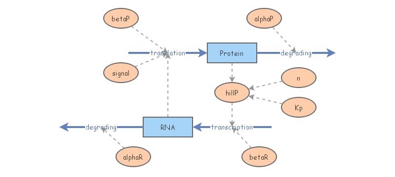 0404: The Griffith switch | Insight Maker