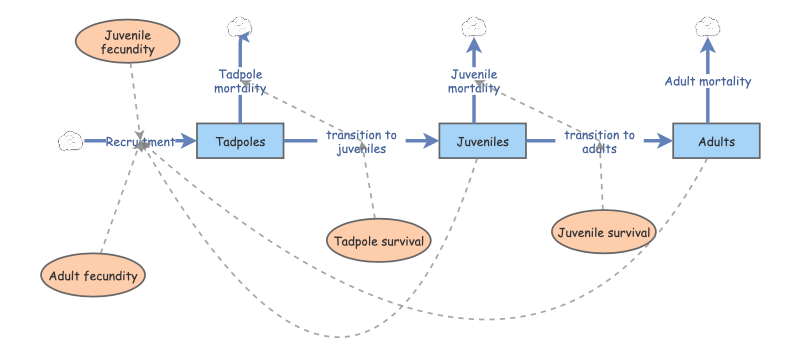 Lab 6: Stage Structure | Insight Maker