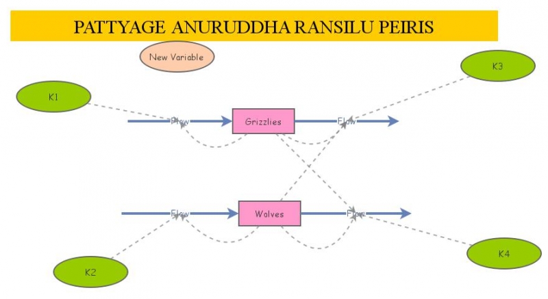 Competitive hunter model by PATTYAGE ANURUDDHA RANSILU PEIRI | Insight Maker