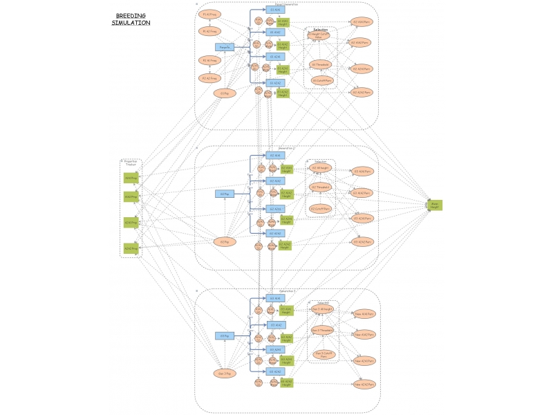 Plant Breeding Simulation | Insight Maker