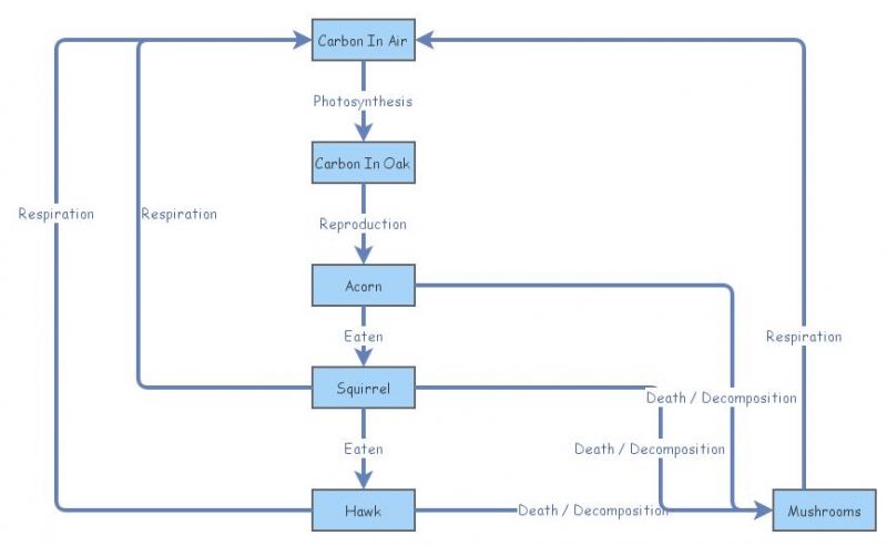Carbon Cycle | Insight Maker