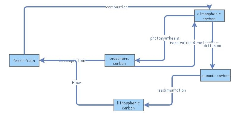 carbon cycle | Insight Maker