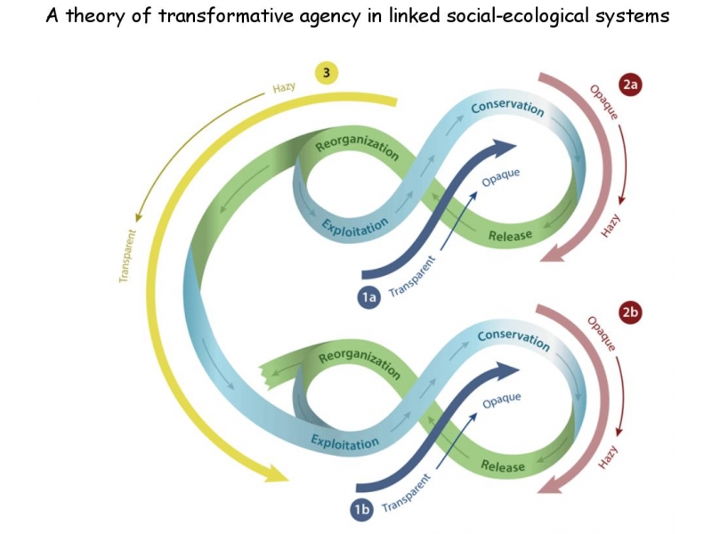 Transformative Agency in Social-Ecological System | Insight Maker