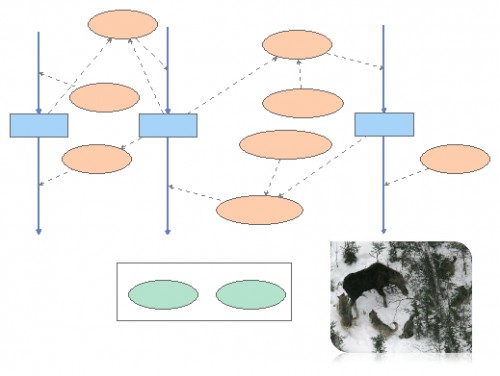 Exercise 2: Grass, moose and wolves | Insight Maker