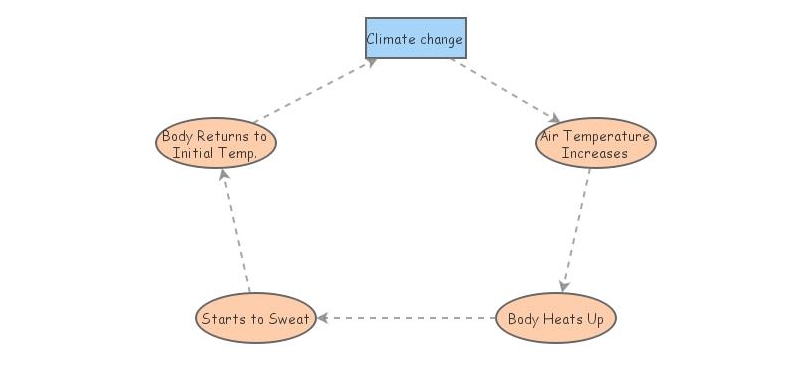 Negative Feedback Loop | Insight Maker