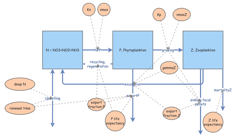 Clone of Marine NPZ model template | Insight Maker