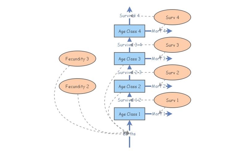 Unit 4 Quiz - Age Structure | Insight Maker
