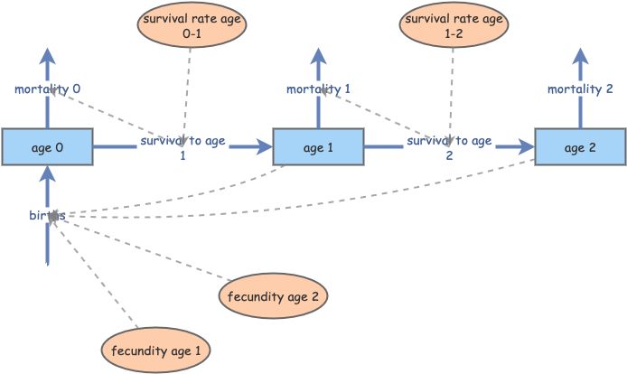 BIOL 303 age-structured model | Insight Maker