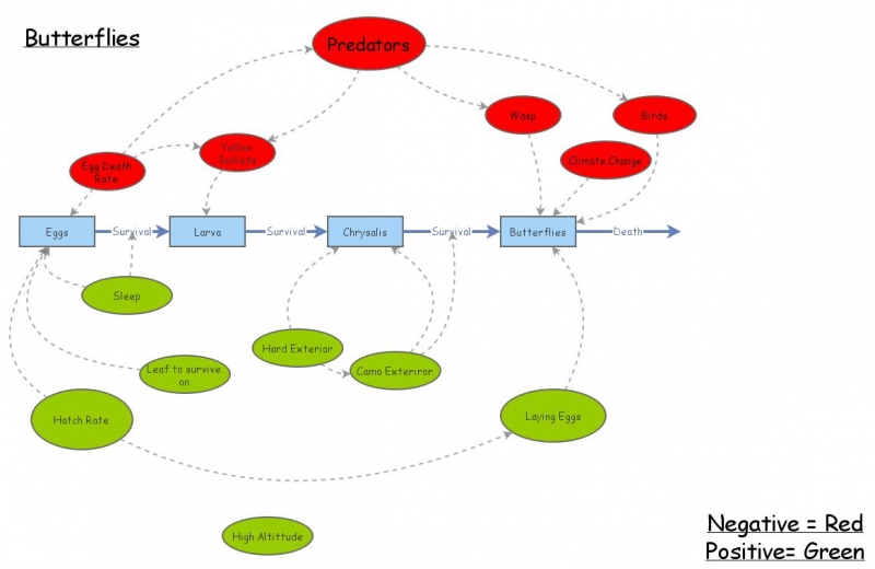 Life History Model of a Butterfly | Insight Maker