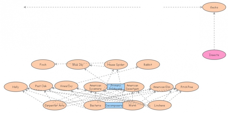 Clone of Arizona Food Web | Insight Maker
