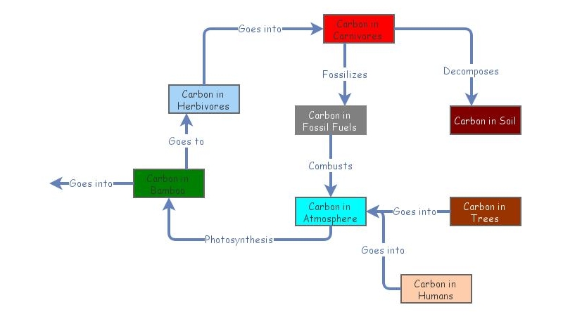 Carbon Cycle | Insight Maker