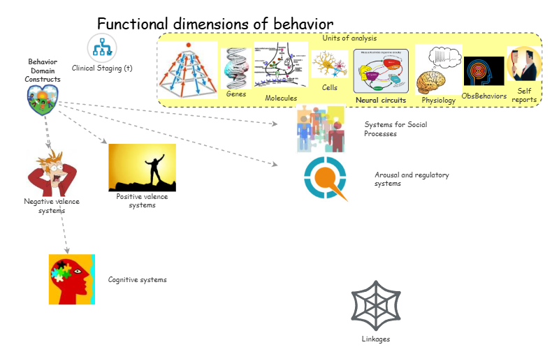 Functional dimensions of behavior | Insight Maker