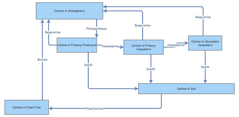 05 SUBMIT Carbon stock and flow model Teacher model | Insight Maker