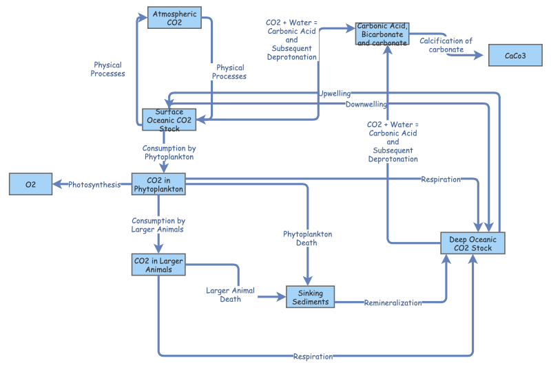 Carbon Cycle | Insight Maker
