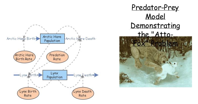 Predator-Prey Model of Lynx and Arctic Hare | Insight Maker
