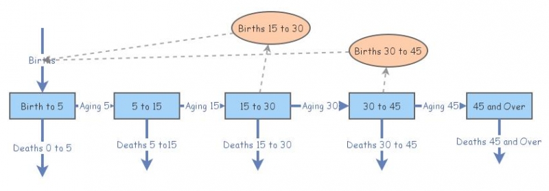 Age-Structured Population | Insight Maker