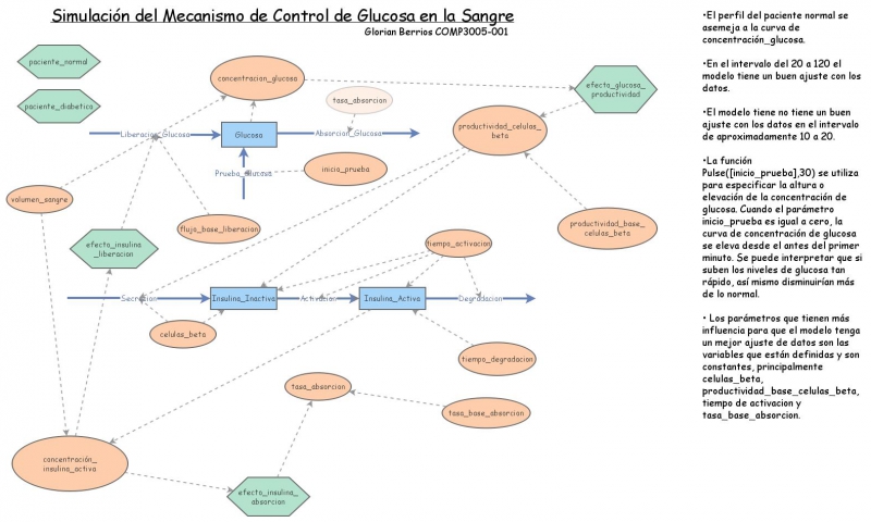Proyecto 4: Simulación del Mecanismo de Control de Glucosa en la Sangre | Insight Maker