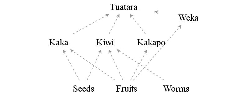 New Zealand Food Web | Insight Maker