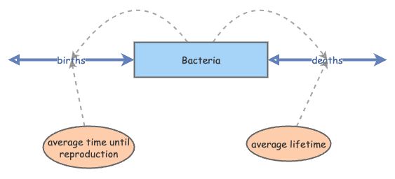 bacteria | Insight Maker