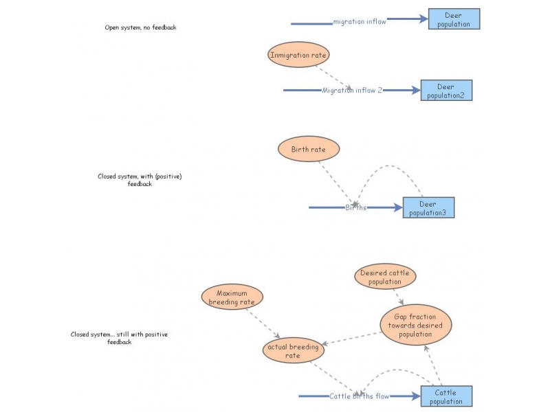 My first simulation | Insight Maker
