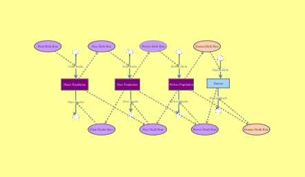 My first insight | Insight Maker