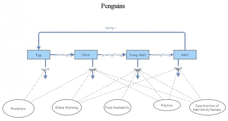 Growth Model | Insight Maker