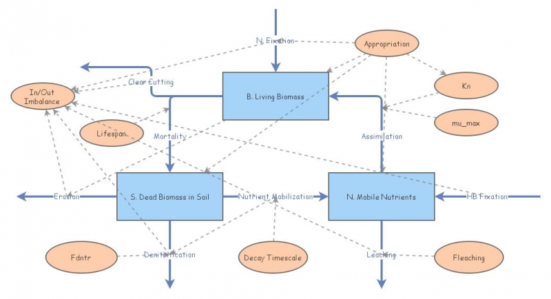 Ecosystem Model (Practice) | Insight Maker