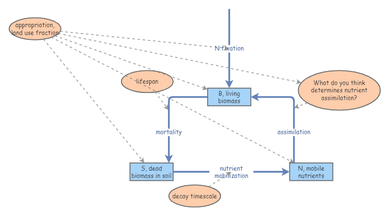 Clone of Terrestrial N cycle model template | Insight Maker