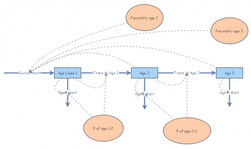 Lab4_Exercise2C | Insight Maker