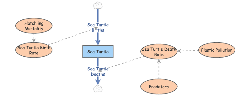 Sea Turtle Demo | Insight Maker