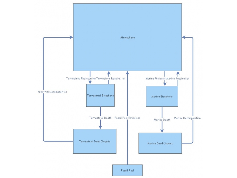 Carbon Cycle | Insight Maker