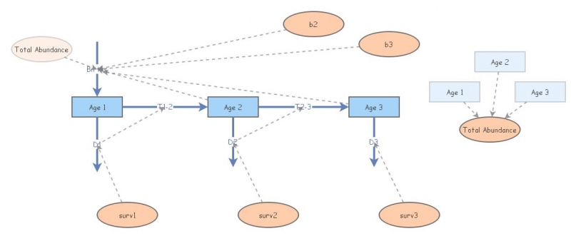 Clone of Age Structured Population Model | Insight Maker