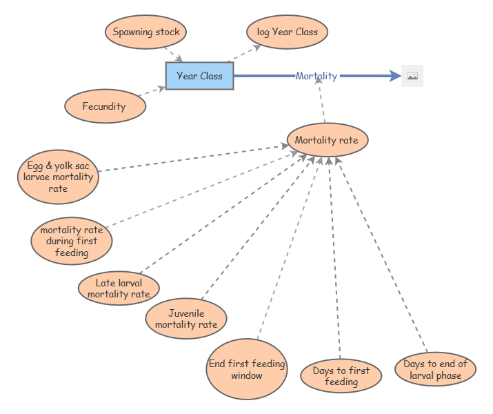 Clone of Variable mortality 1st year | Insight Maker