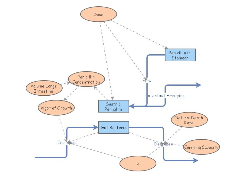 ModSim Project 1: Penicillin Concentration & Gut Bacteria | Insight Maker