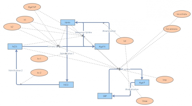 Nitrogen Cycle | Insight Maker