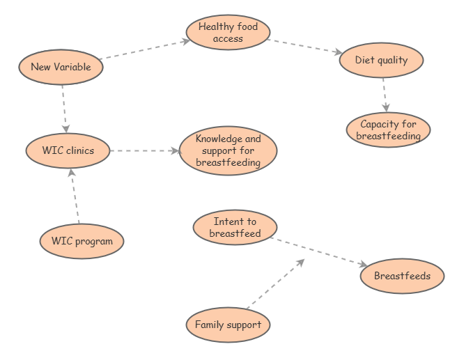 Skye_conceptual framework | Insight Maker