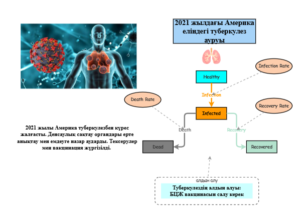 Жүйелік динамика | Insight Maker
