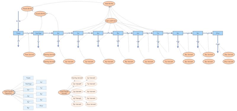 Mule Deer v1 | Insight Maker