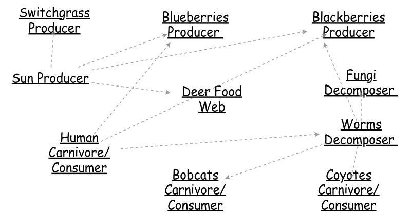 Deer Food Web | Insight Maker