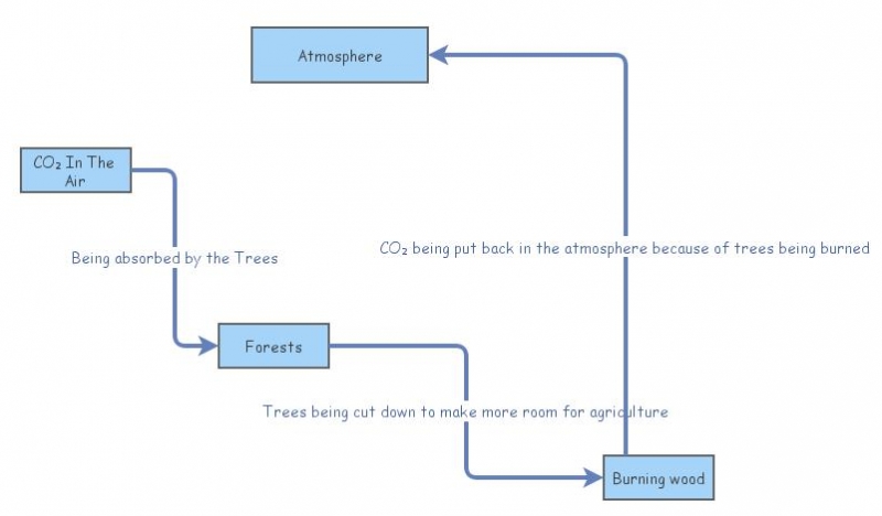 Climate Change because of deforestation | Insight Maker