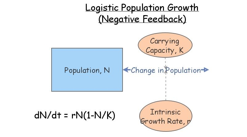Population Dynamics - Logistic Growth | Insight Maker