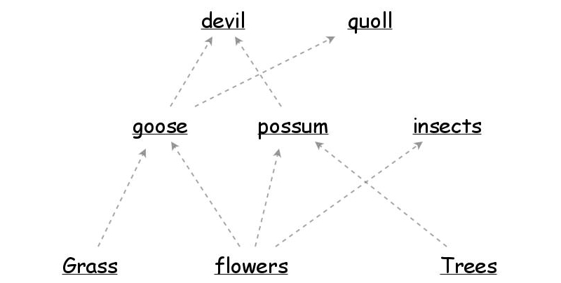 food web goose | Insight Maker