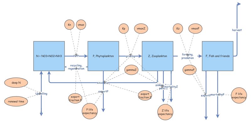Clone of Marine NPZF model | Insight Maker