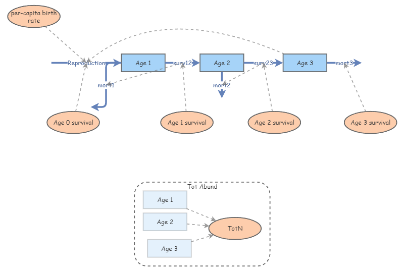 Clone of Age structure lab 3_skeleton | Insight Maker