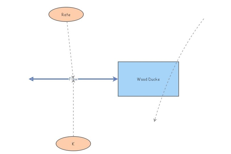 Class exercise #1 (exponential growth) | Insight Maker