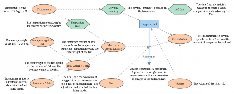 The Km model | Insight Maker