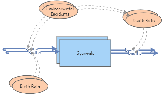 Squirrels | Insight Maker