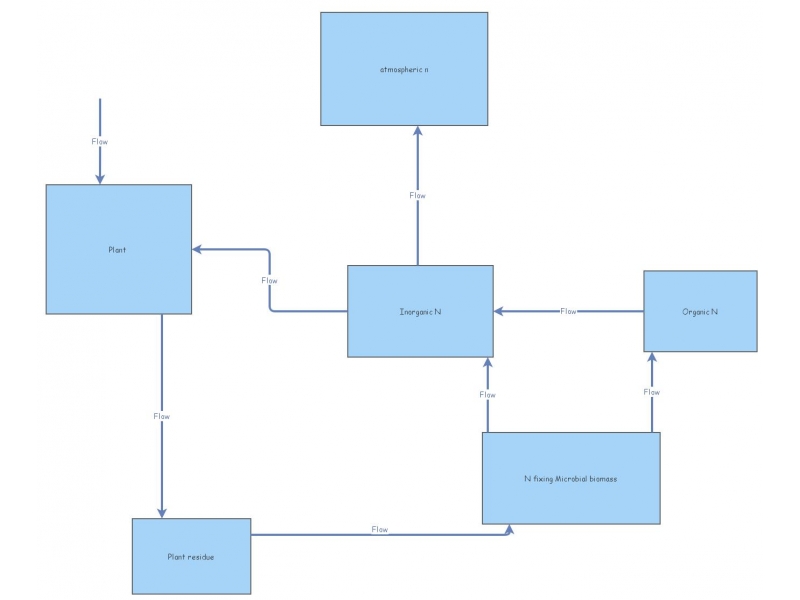 n cycle | Insight Maker