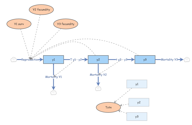Clone of stage structure | Insight Maker
